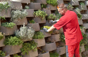 Your Guide to Using and Choosing Retaining Wall Caps - Rochester ...